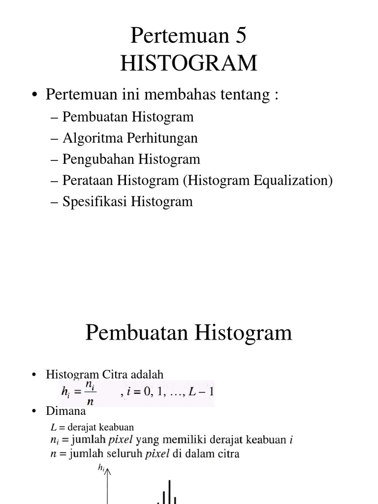 Histogram Citra | PDF