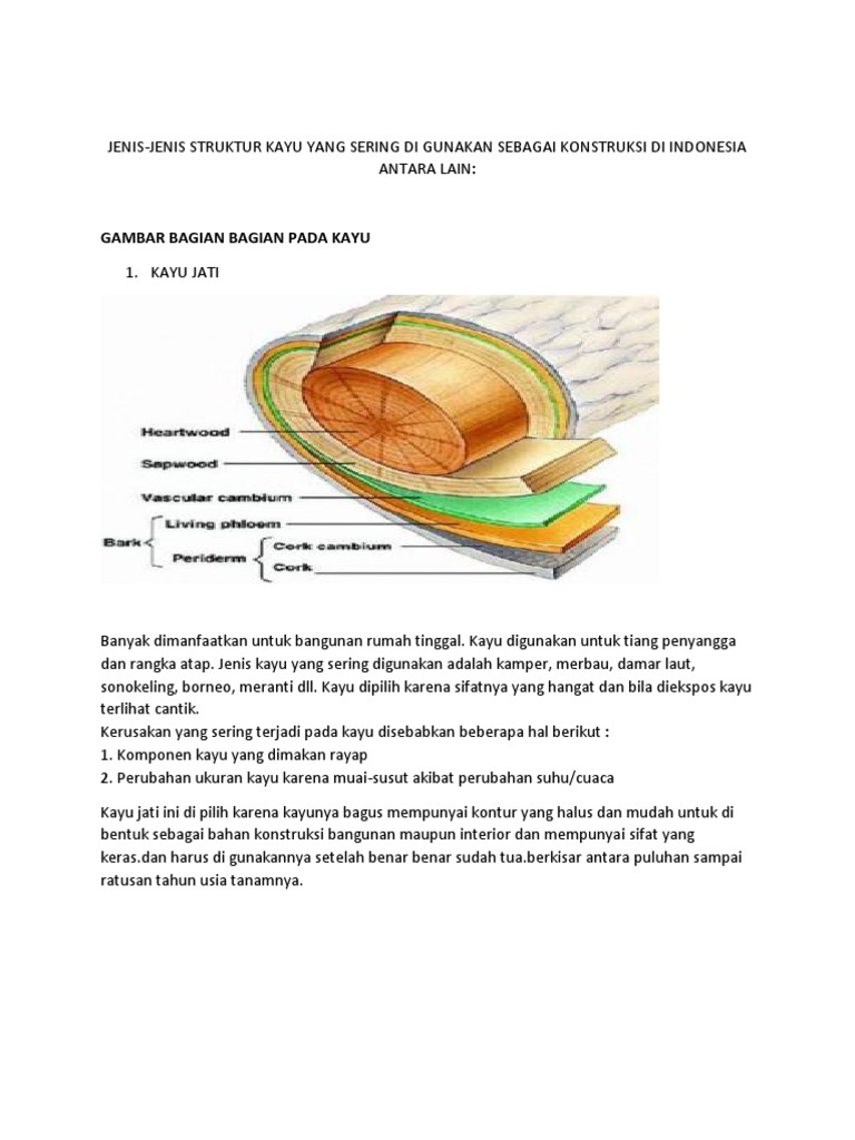 Struktur Kayu | PDF