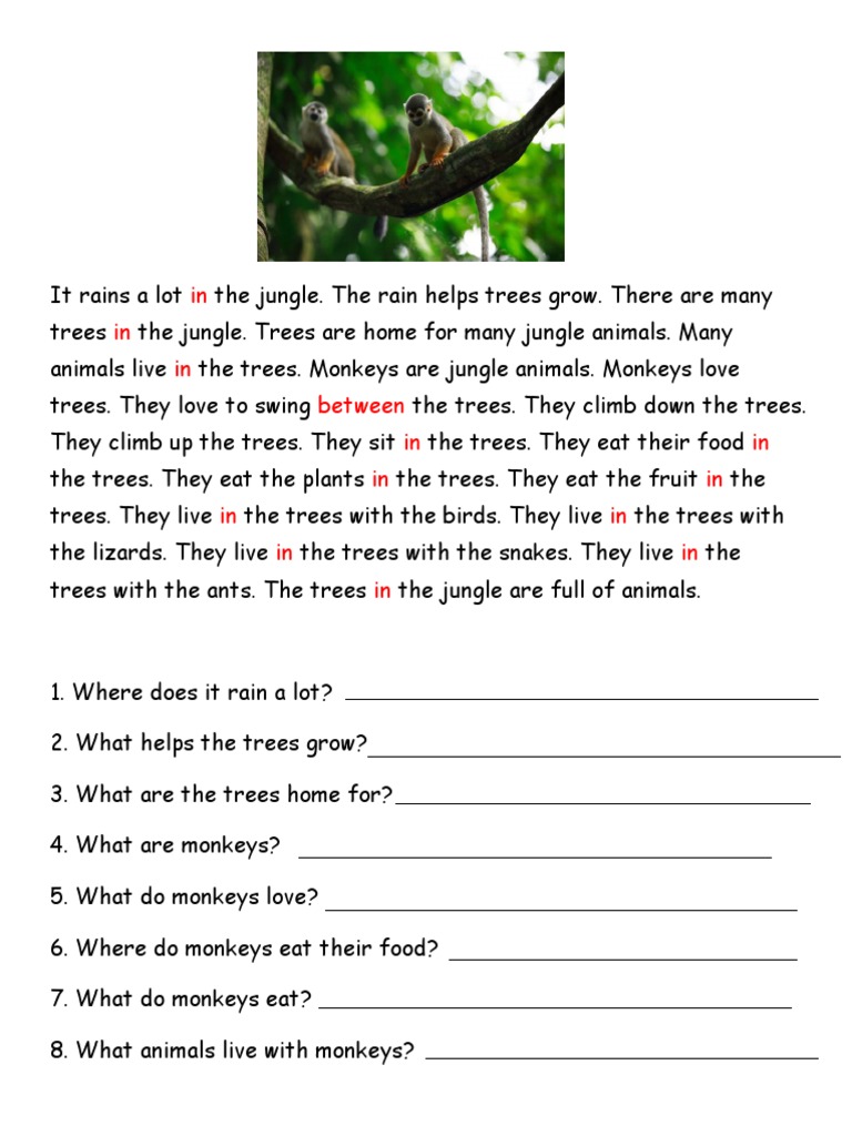 Prepositions Monkeys in The Jungle | PDF