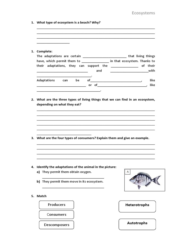 Test Ecosystems Science 6 Primaria Anaya | PDF | Biogeochemistry ...