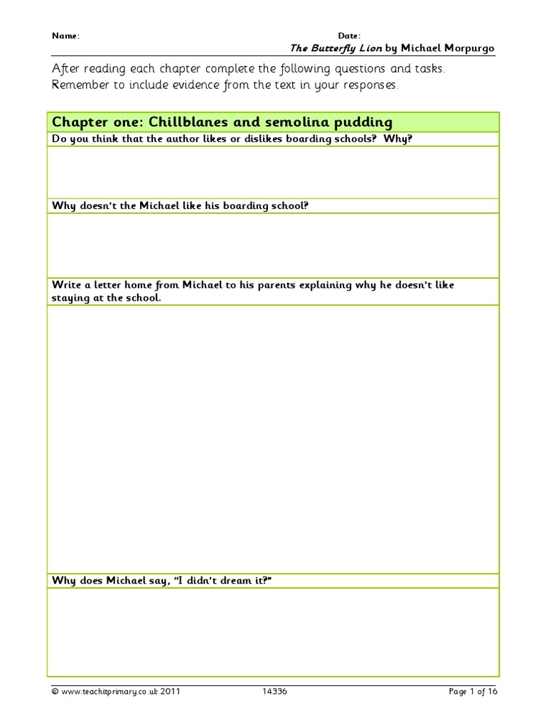 The Buterfly Lion Questions | PDF