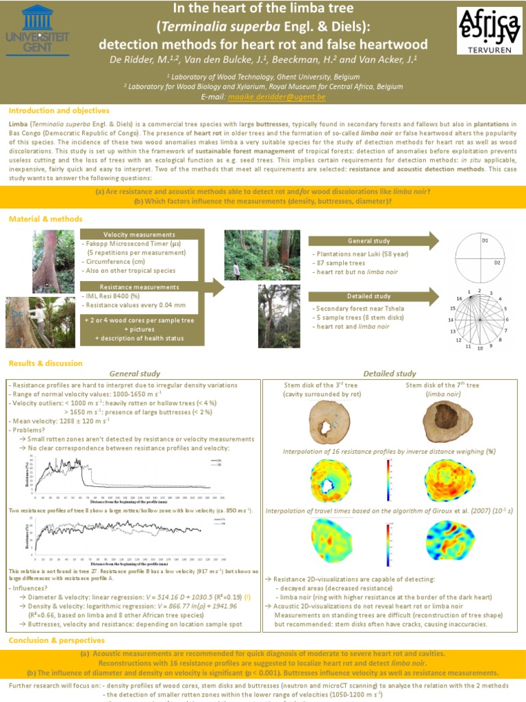 In The Heart of The Limba Tree | PDF | Wood | Trees