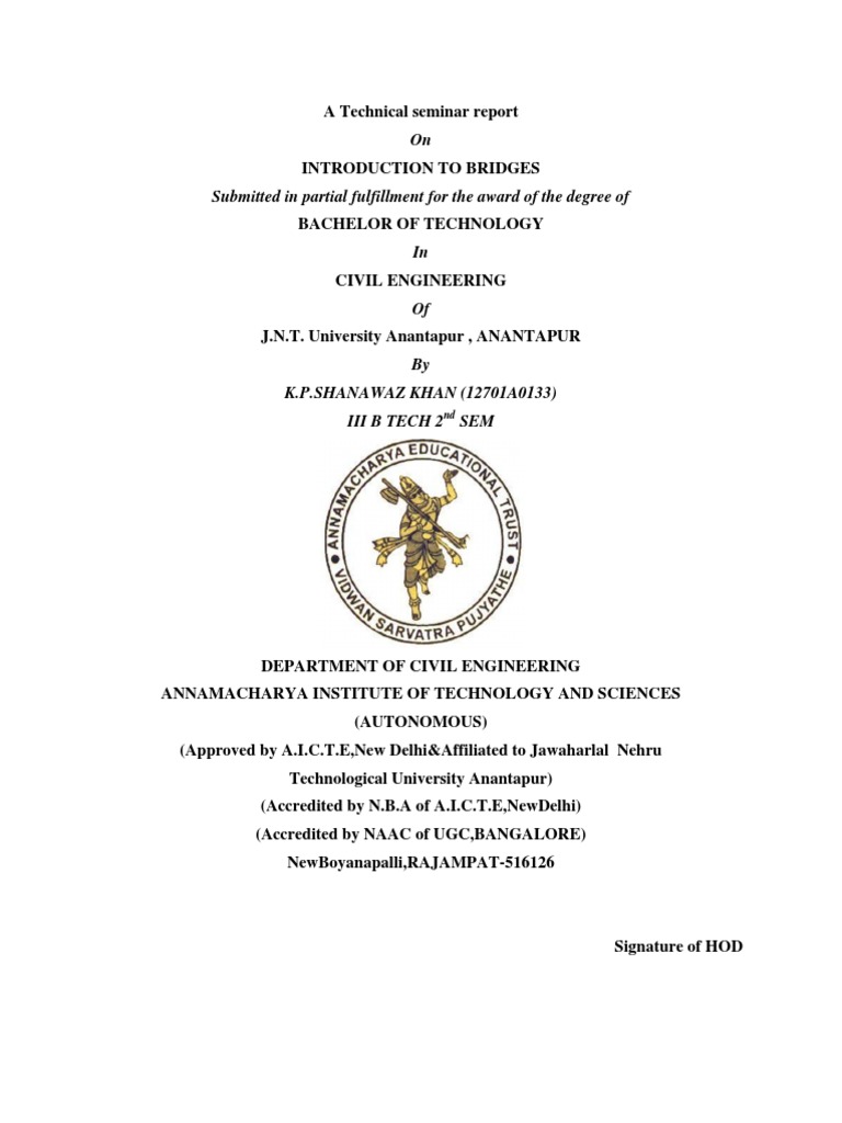 BRIDGES Report | PDF | Civil Engineering | Structural Engineering