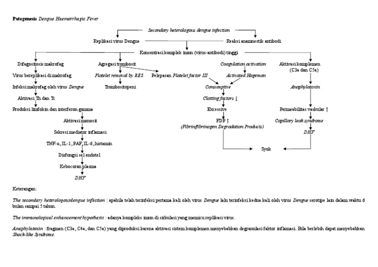 Patogenesis DHF | PDF