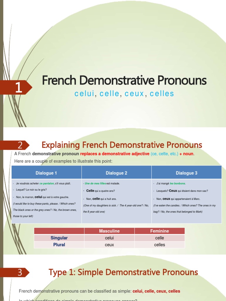 French Demonstrative Pronouns Explained | PDF | Grammatical Gender ...