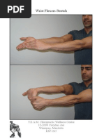 Alfredson Protocol - Achille's Tendonitis | PDF | Pain | Clinical Medicine