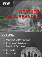 Types of Weather Disturbances Explained | PDF | Tropical Cyclones ...