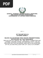 Activity Design - Fiesta 2013 | PDF