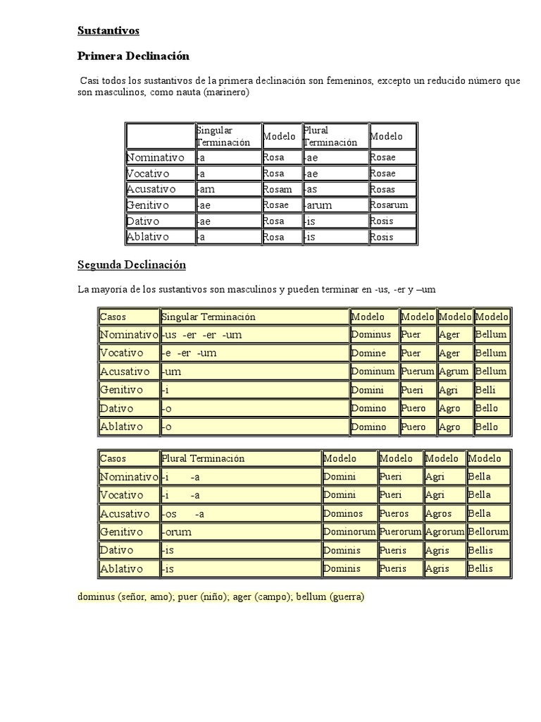 Sustantivos Latin | PDF | Tipología Lingüística | Filología