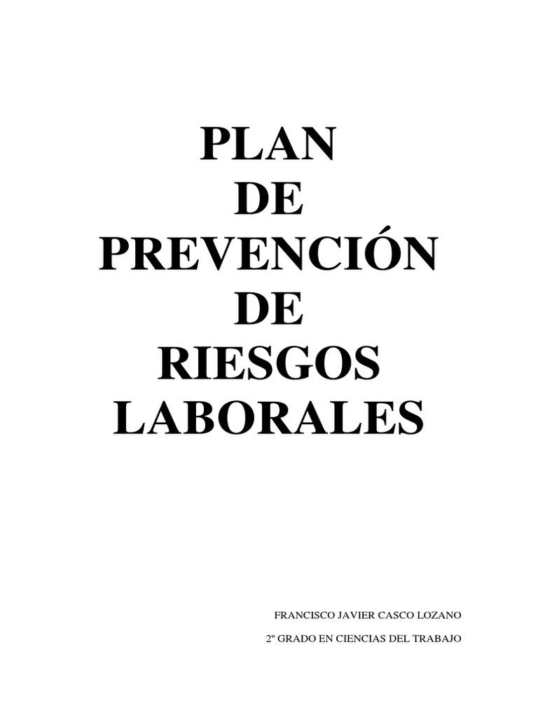 Plan de Prevencion de Riesgos Laborales | PDF | Andamio | Planificación