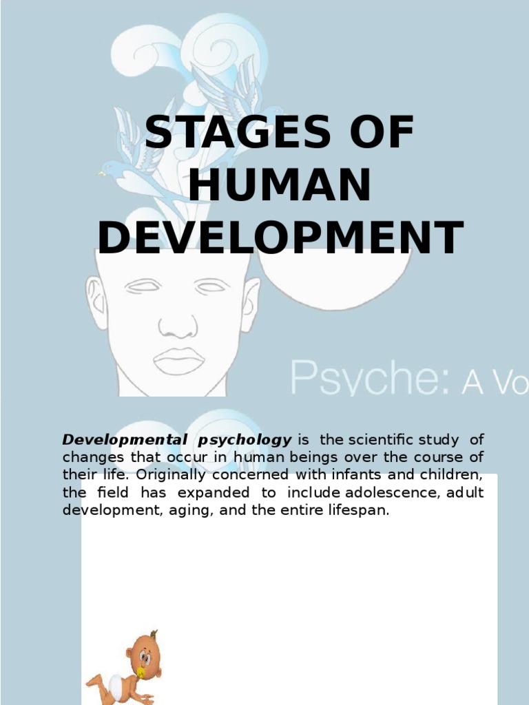 Erikson's Stages of Human Development | PDF | Philosophy | Self-Improvement