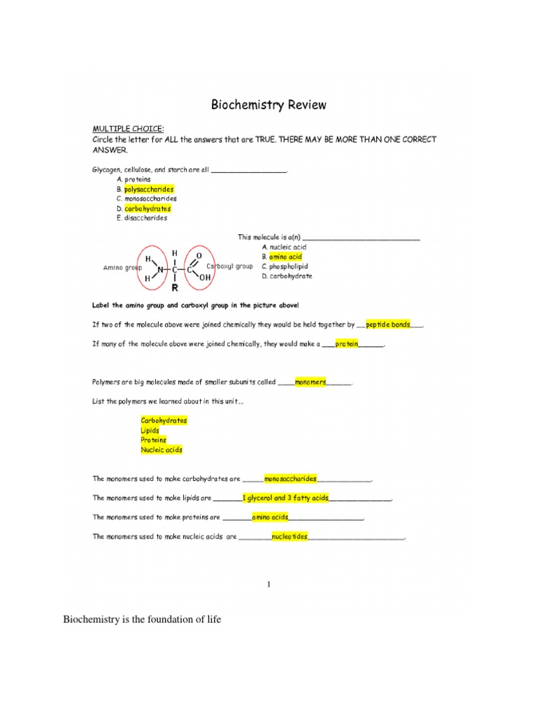 Biochemistry Is The Foundation of Life | PDF