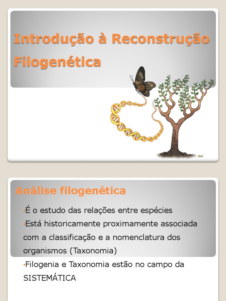 Aula Filogenia - Biologia | PDF | Filogenética | Espécies