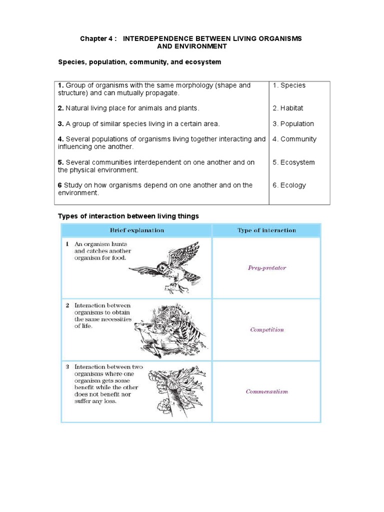 Chapter 4 - Interdependence | PDF