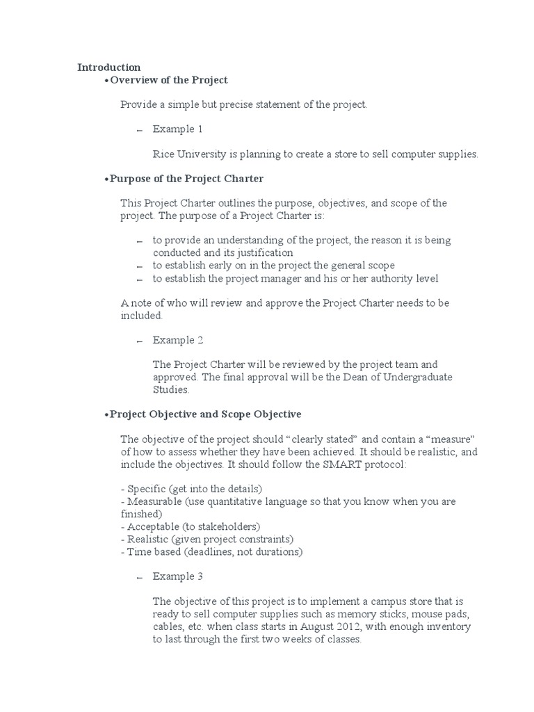 Project Charter Example | PDF | Procurement | Business