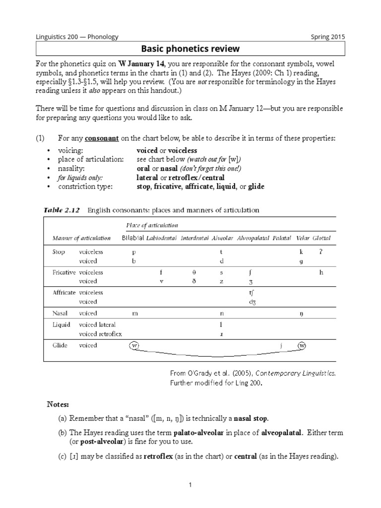 Phonetics Review | PDF | Vowel | Oral Communication