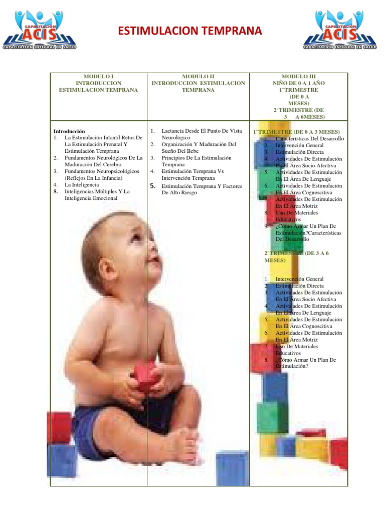 Guía Completa de Estimulación Temprana | PDF | Neurociencia | Cognición