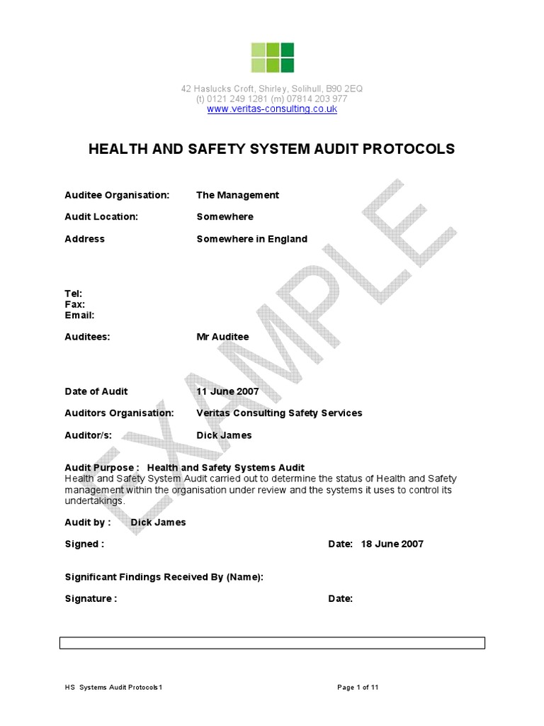 Free Health and Safety Audit Report Example | Download Free PDF | Risk ...