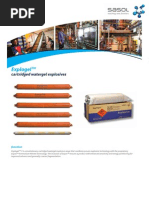 SAPS Explosives Section Contact List Rev 2 | PDF | Cape Town | South Africa