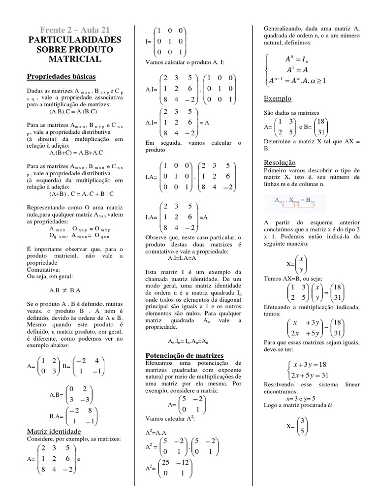 Propriedades e Cálculo de Matrizes | PDF | Determinante | Matriz ...