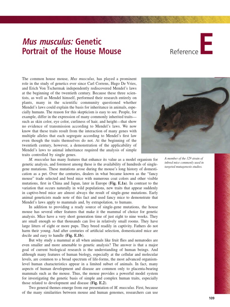 Mouse Genetic Portrait | PDF | Myc | Gene