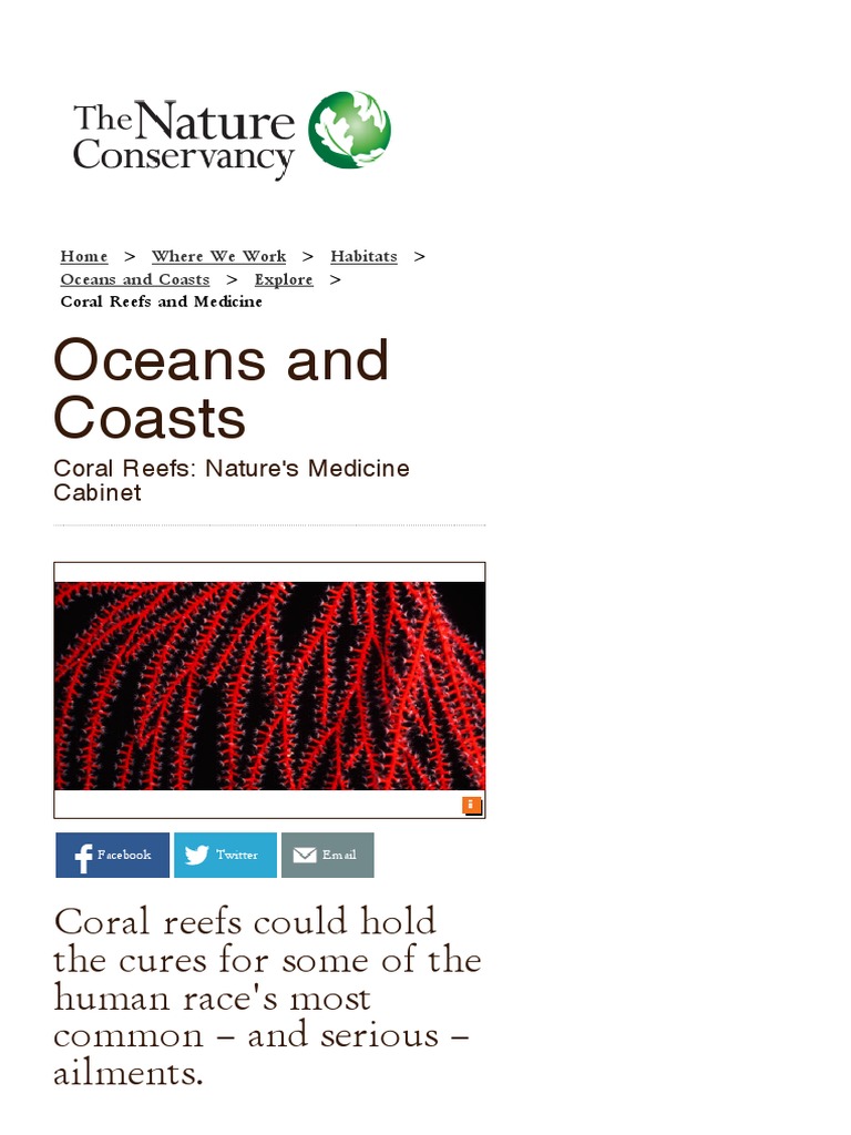 Coral Reefs and Medicine - The Nature Conservancy | PDF | Coral Reef ...