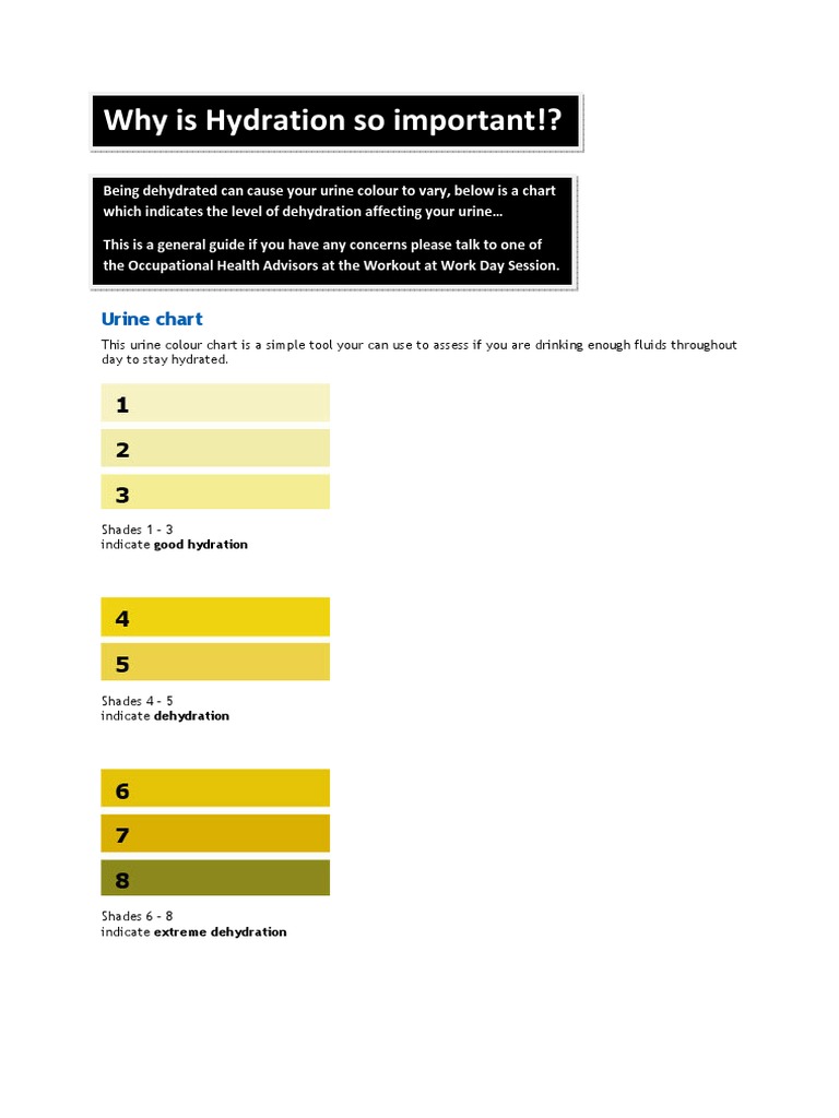 Urine Color Hydration Assessment Chart | PDF | Lifestyle