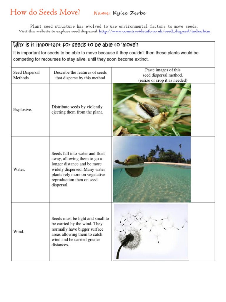 Seed Dispersal Word | PDF