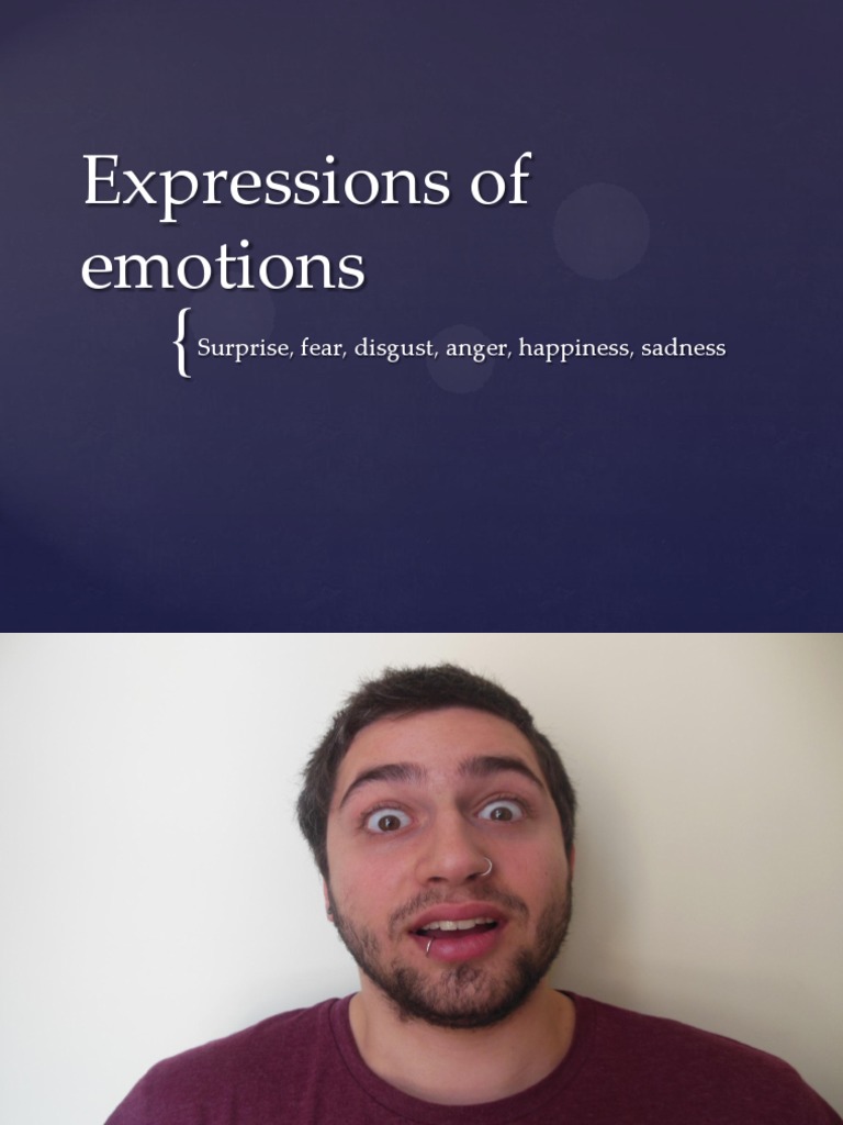 Understanding Universal Facial Expressions of Emotions Through an In ...