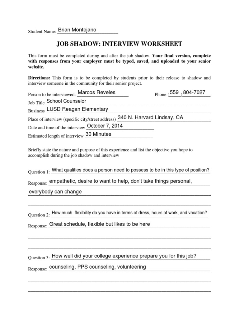 Job Shadow Interview Worksheet Guide | PDF