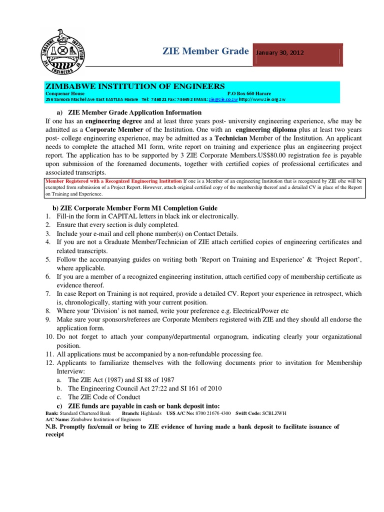 MZweIE Application Information & Form 1 Completion Guide FV | PDF ...