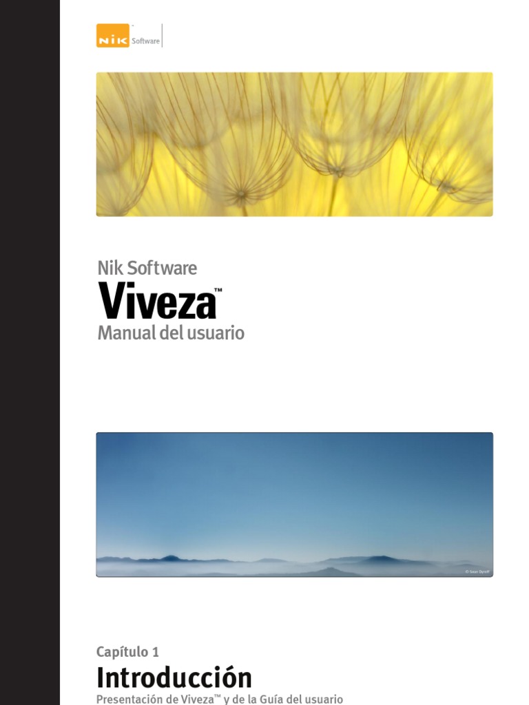 Nik Viveza - Guía Usuario | PDF | Point and Click | Enchufe (informática)