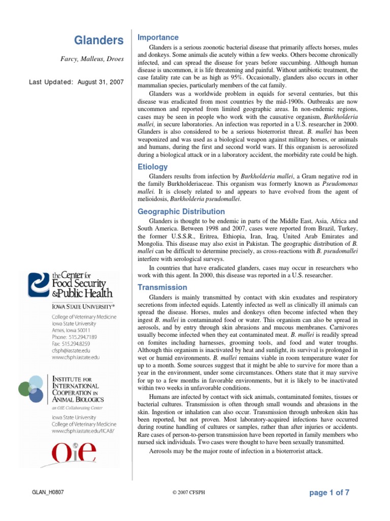 Glanders | Download Free PDF | Medicine | Diseases And Disorders