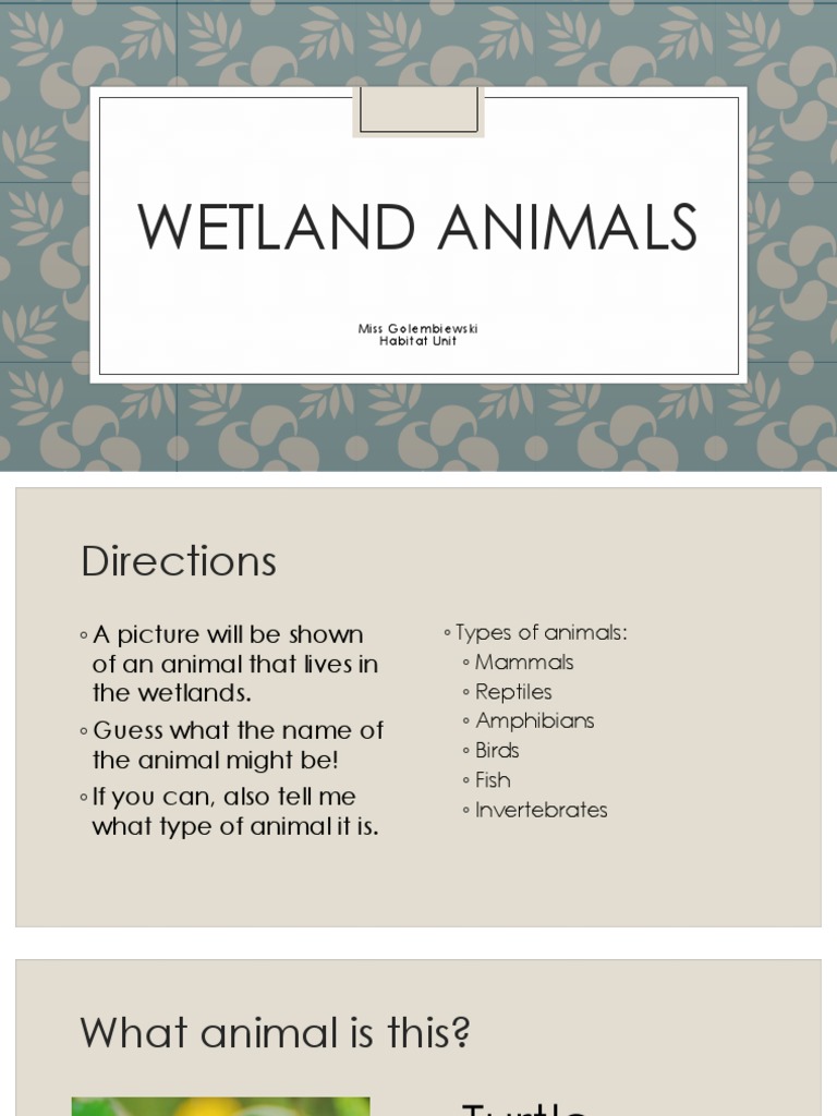 Wetland Animals Identification Game | PDF