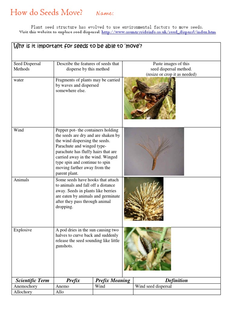 Types of Seed Dispersal Methods | PDF