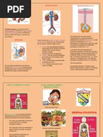 APARATO EXCRETOR triptico