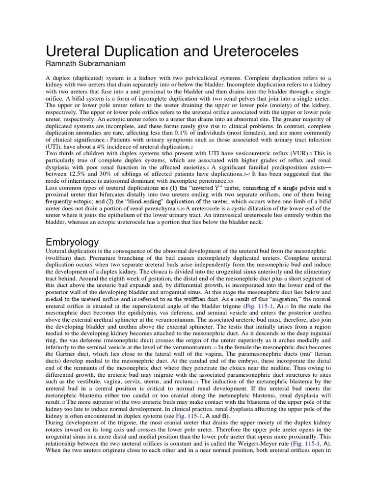 Ureteral Duplication and Ureteroceles | Urinary Incontinence | Kidney