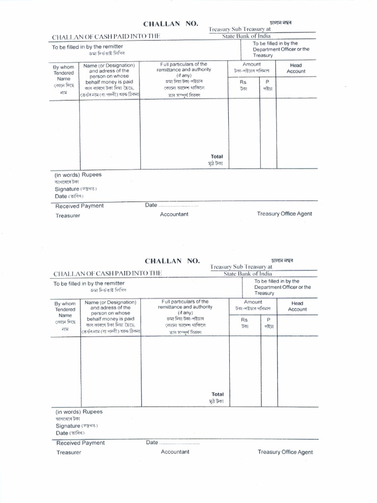 Treasury Challan PDF | PDF