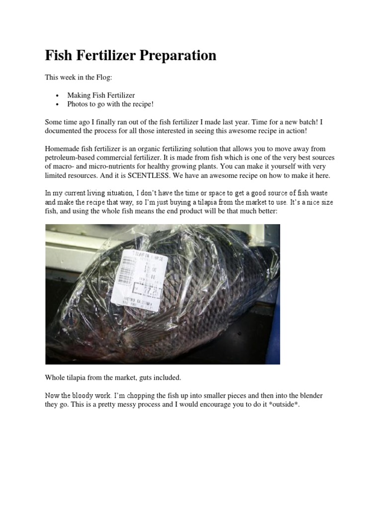 Homemade Fish Fertilizer Recipe Guide | PDF | Compost | Food And Drink