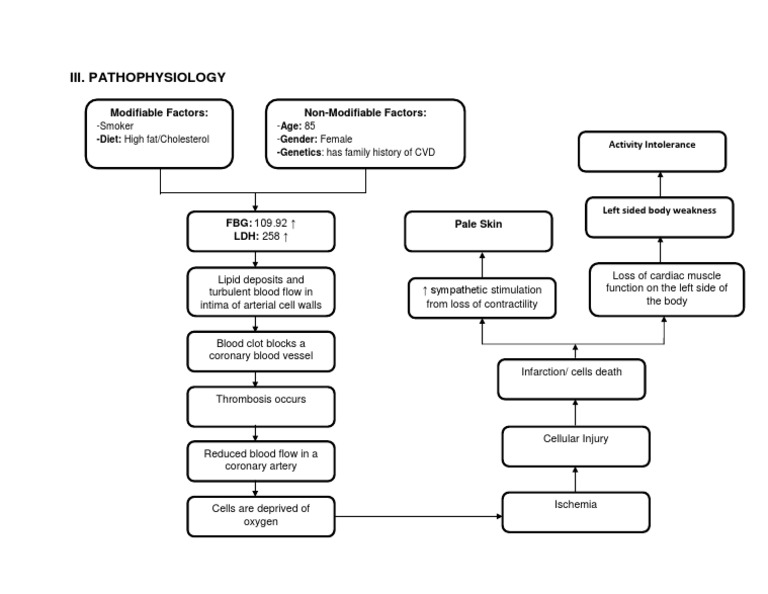 Pathophysiology CVD | PDF