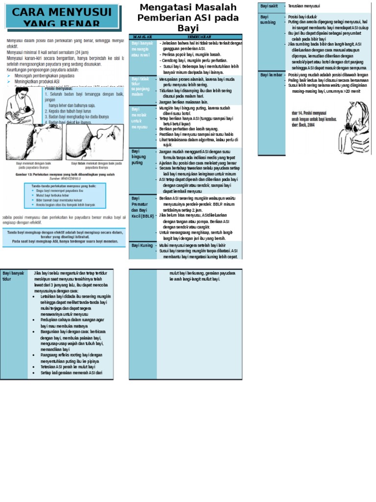 Leaflet Cara Menyusui Asi | PDF