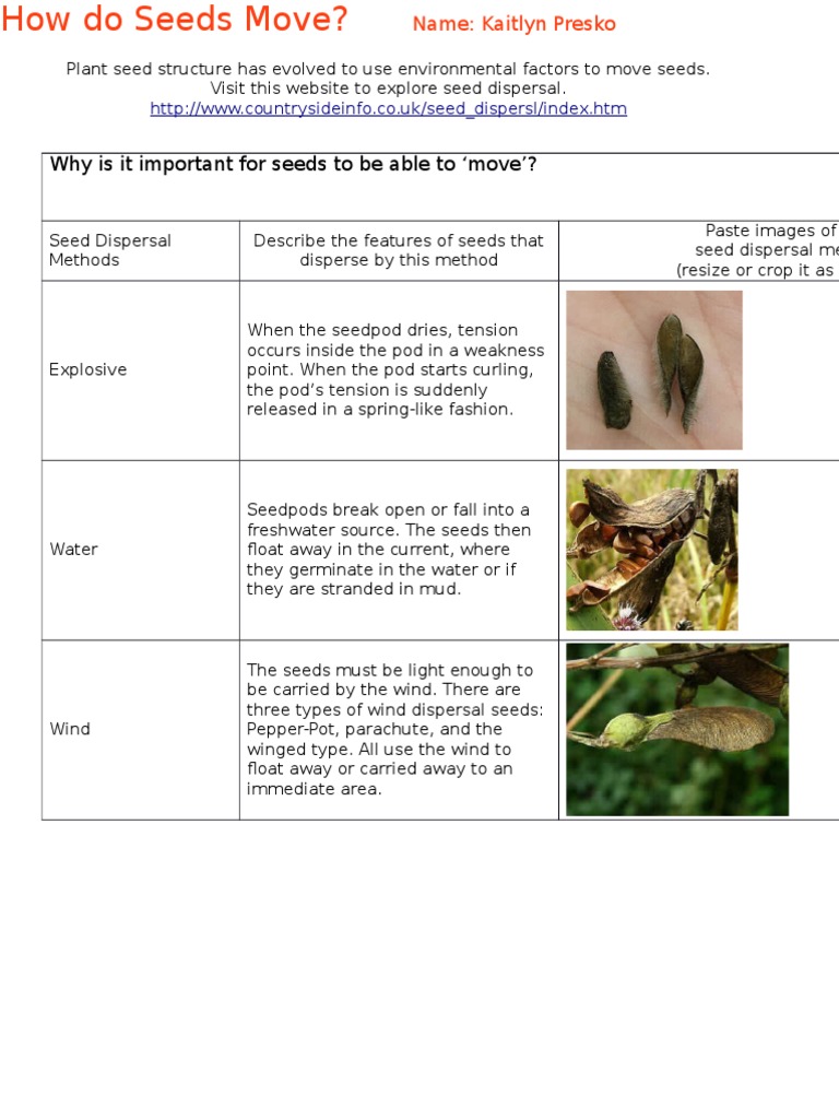 Seed Dispersal Methods Explained | PDF