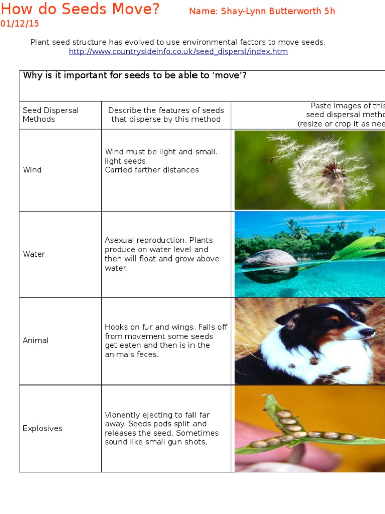 Seed Dispersal Word | PDF