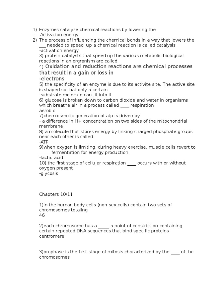 Biology Review | PDF | Cellular Respiration | Genetics
