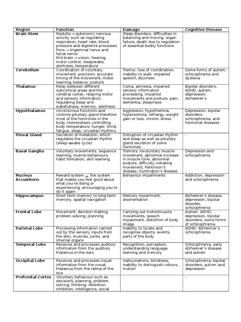 Region Function Damage Cognitive Disease Brain Stem | PDF | Cerebral ...
