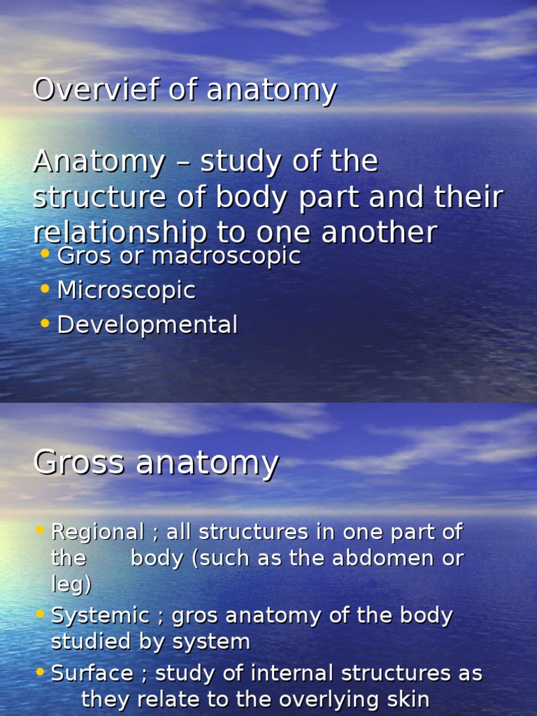 Overview of Anatomy | PDF