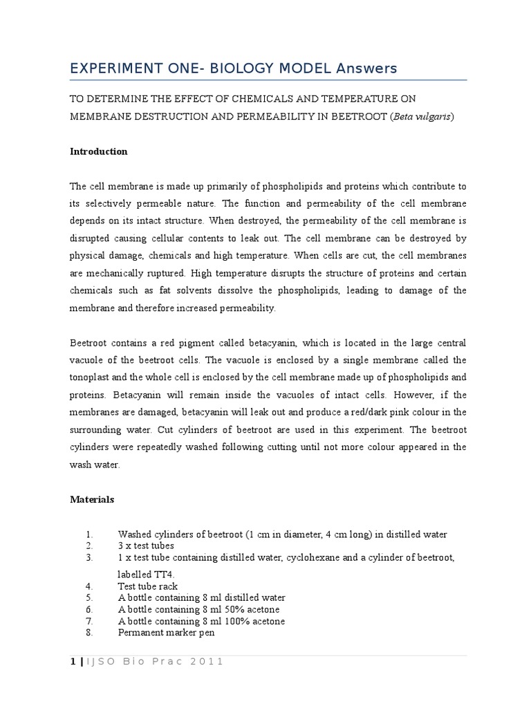 Biology Practical Beetroot | PDF