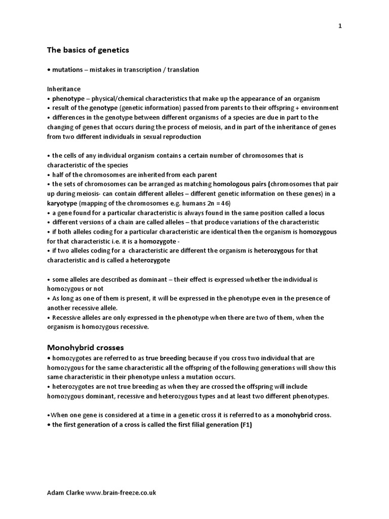 The Basics of Genetics | PDF | Zygosity | Allele