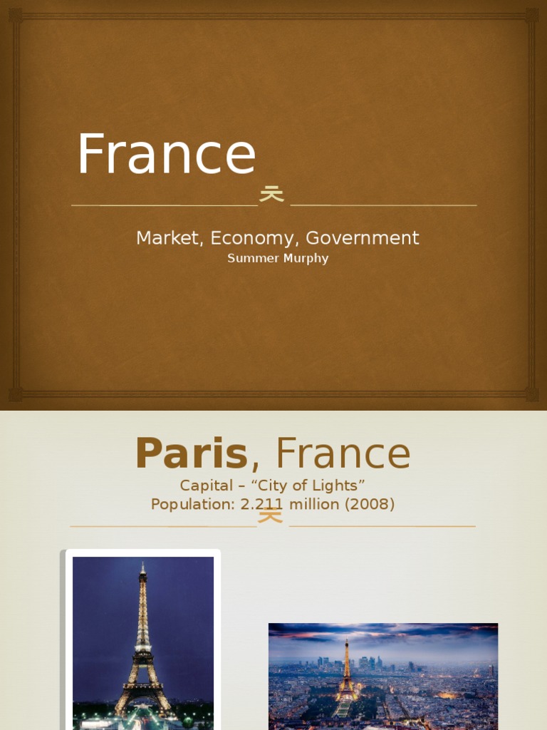 France's Economic Challenges | PDF