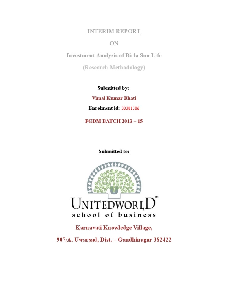 Interim Report on Investment Analysis | PDF